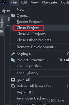 【idea-sprongboot项目】在linux服务器上纯远程开发方式_idea ssh连接进行springboot开发-CSDN博客