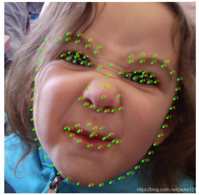 人脸关键点序号106个 98个_python人脸检测106关键点-CSDN博客