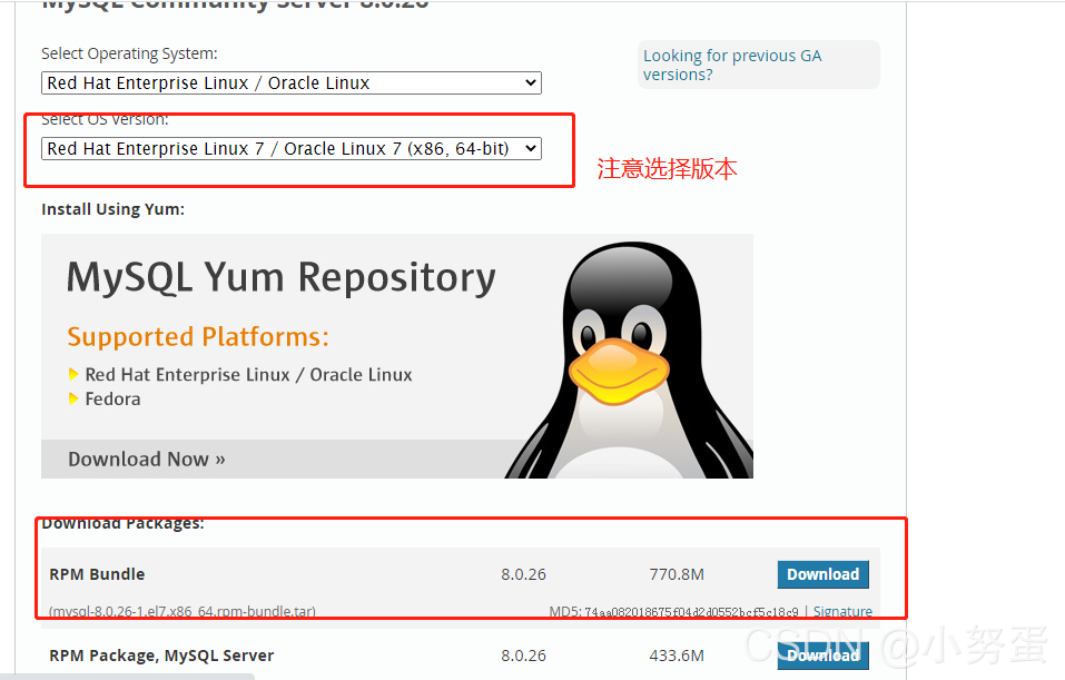 linux（Centos7.4）下安装mysql8.0.26离线安装教程图解_linux离线安装mysql8.0.26-CSDN博客