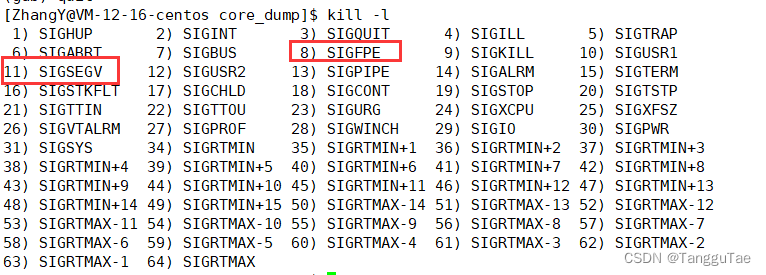 核心转储core dump_dumpfile倍福plc-CSDN博客