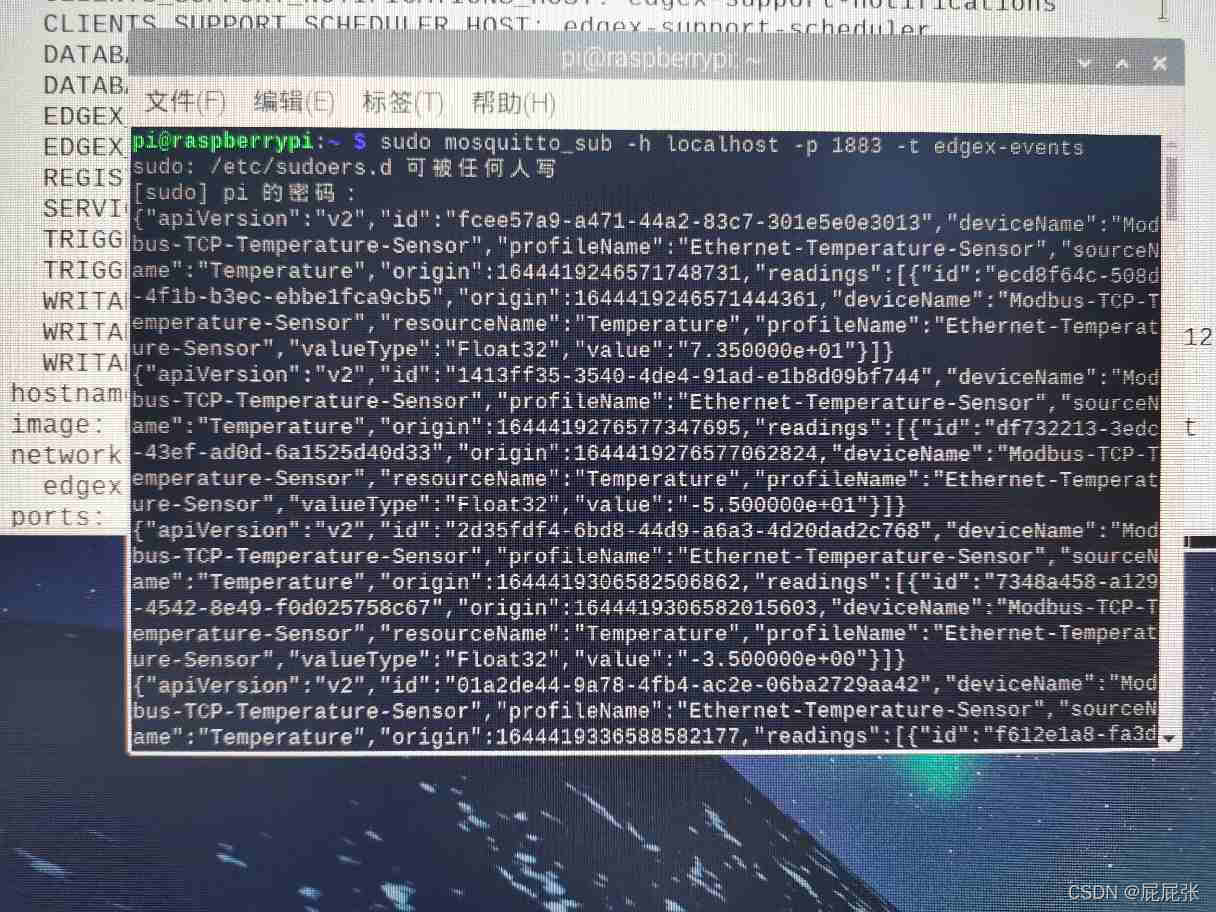 EdgeX-v2.1+南Modbus北MQTT+树莓派4B的填坑完结之旅_service "app-service-mqtt-export" depends on undef-CSDN博客