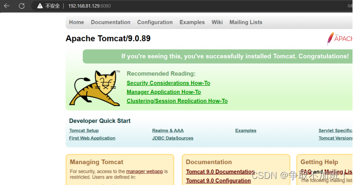 使用安装包安装tomcat_tomcat9.0.89-CSDN博客