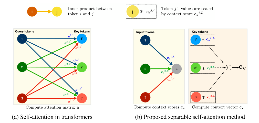 【读点论文】Separable Self-attention for Mobile Vision Transformers，通过引入隐变量将Q ...