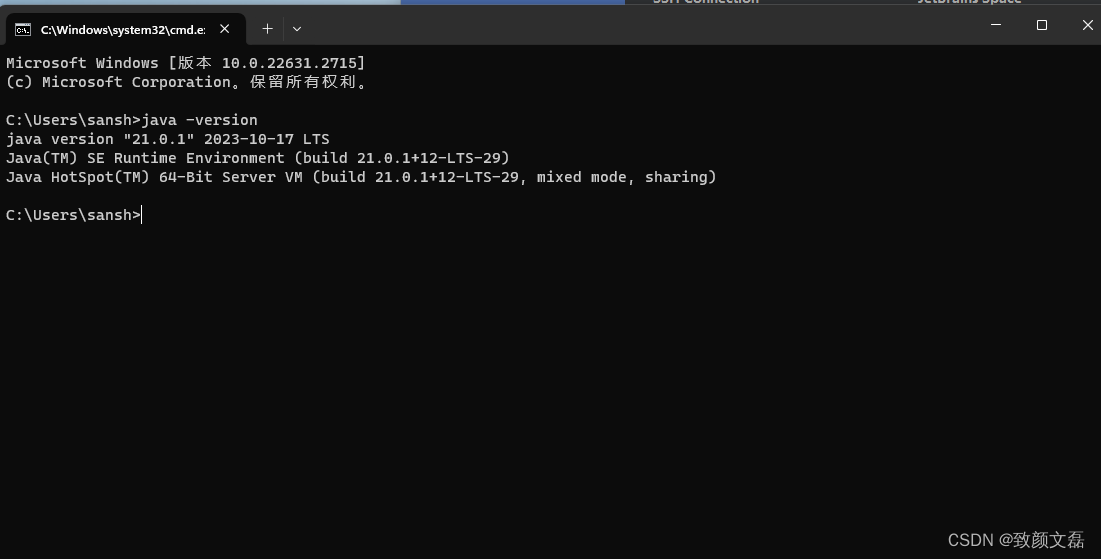 java JDK(21)安装_java21 jre-CSDN博客