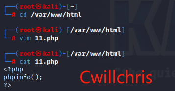 kali php无法执行,直接下载或显示php文件内容_kali怎么查看php代码-CSDN博客