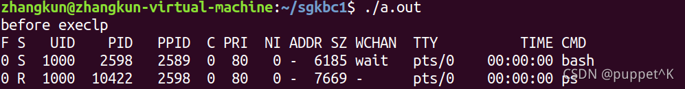 linux进程---exec族函数(execl, execlp, execle, execv, execvp, execvpe)_execlp函数-CSDN博客
