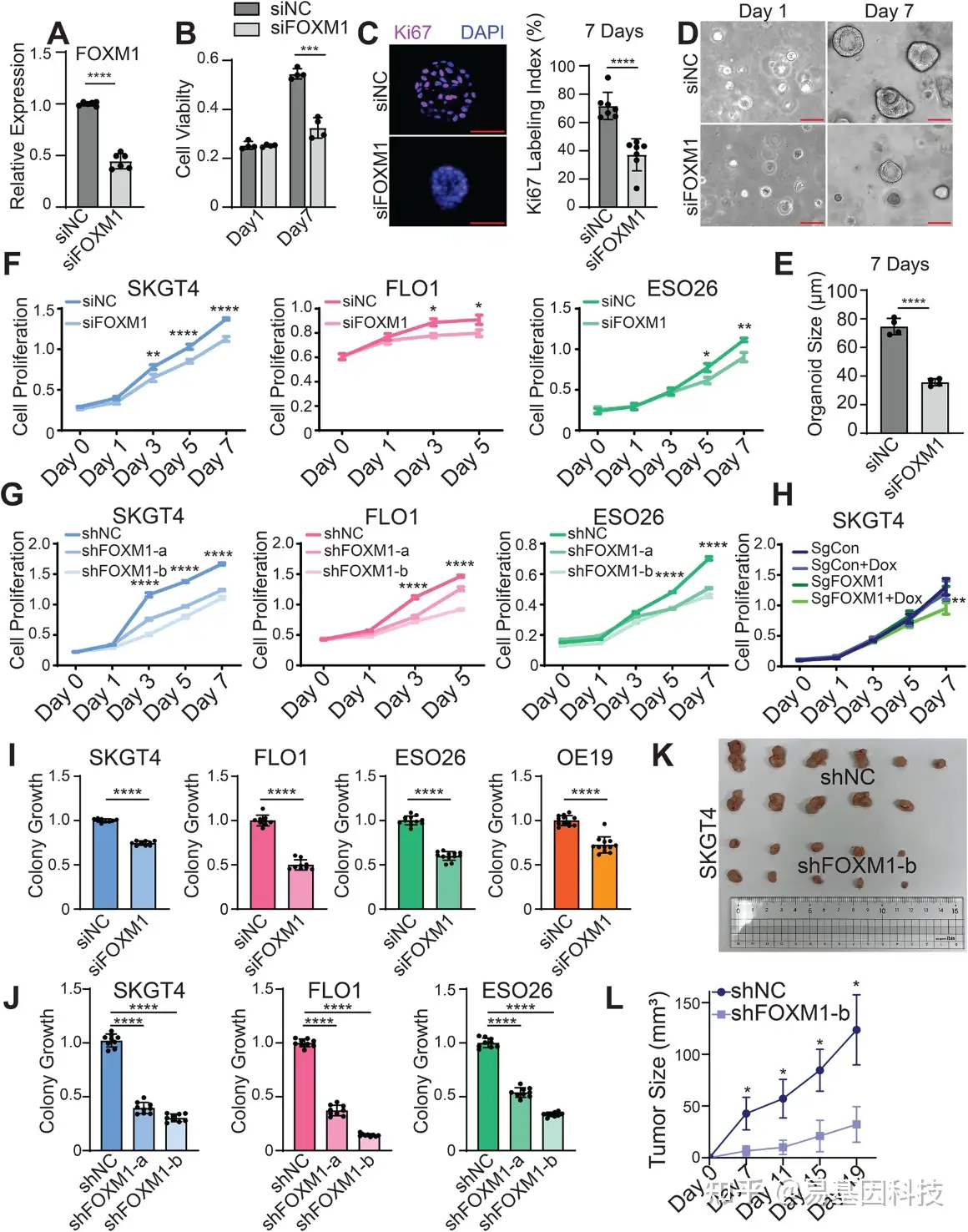 WGBS+ChIP-seq等表观组分析揭示FOXM1 是抗肿瘤免疫应答的关键调控因子_de-chen lin-CSDN博客