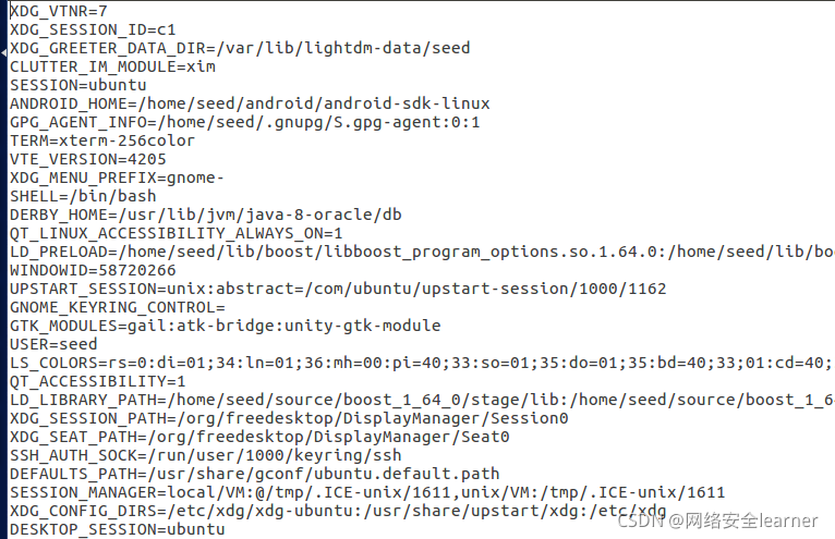 Environment Variable and Set-UID Program Lab-CSDN博客