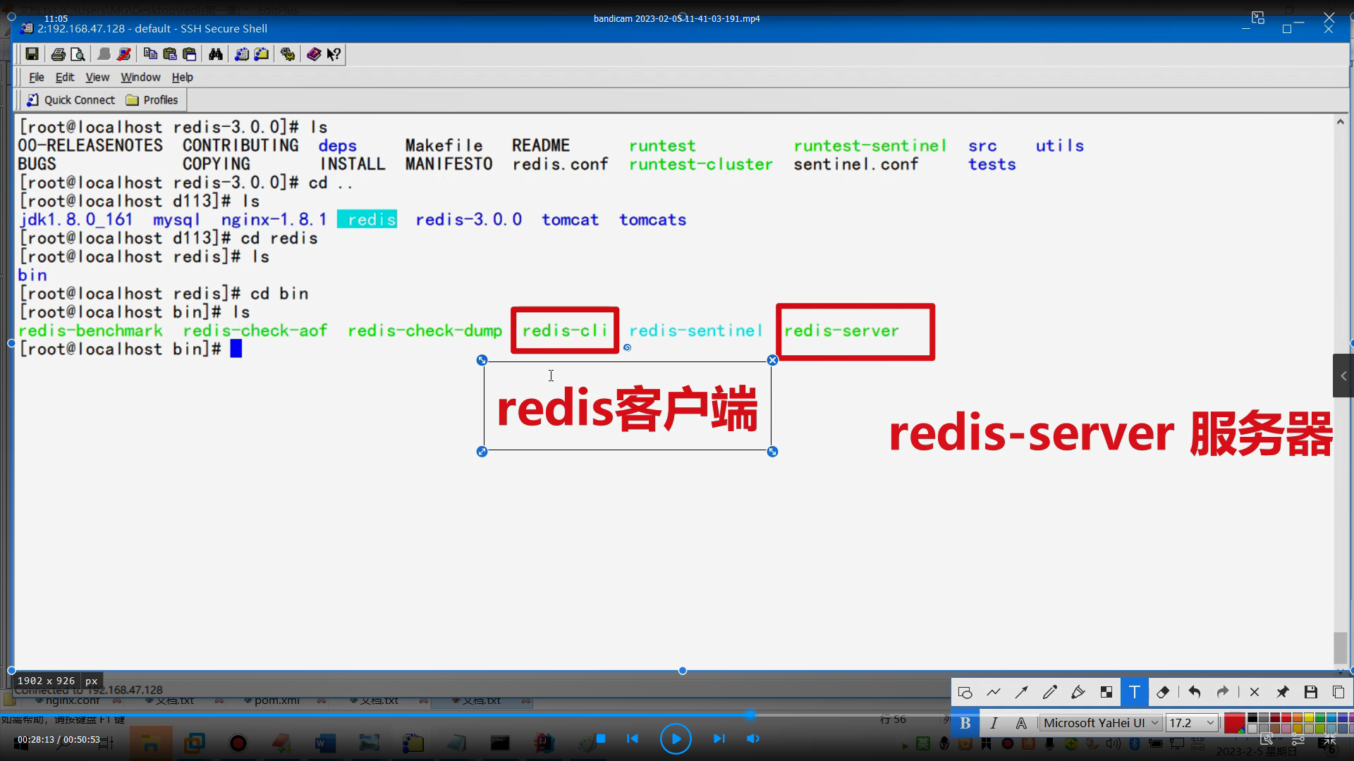 【Redis】Redis 非关系型数据库 安装、配置、使用（全集）_使用redis存储数据-CSDN博客