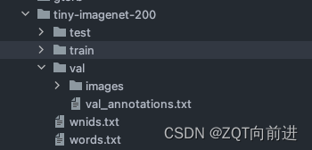 pytorch读取tiny-imagenet-200的验证集(val)-CSDN博客