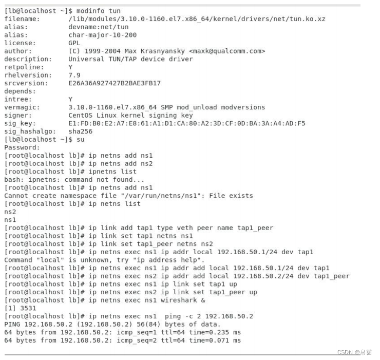 计算机网络实验_ip netns exec-CSDN博客