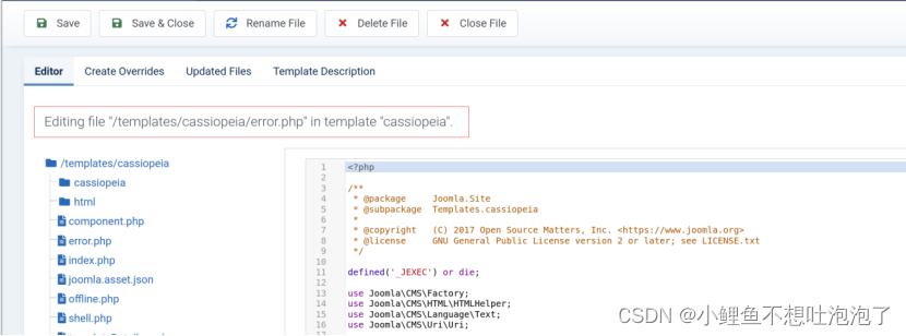 HTB-Devvortex-CSDN博客