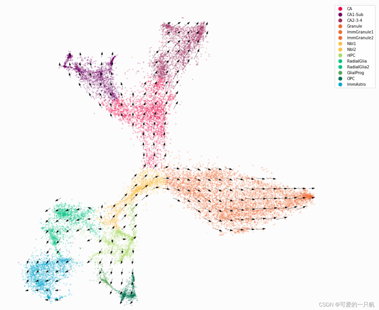 单细胞 | RNA速率 · cellDancer-CSDN博客
