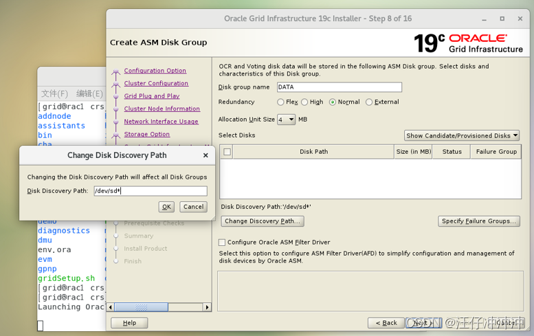 oracle 19c rac搭建详细攻略_oracle19c数据库实例-CSDN博客