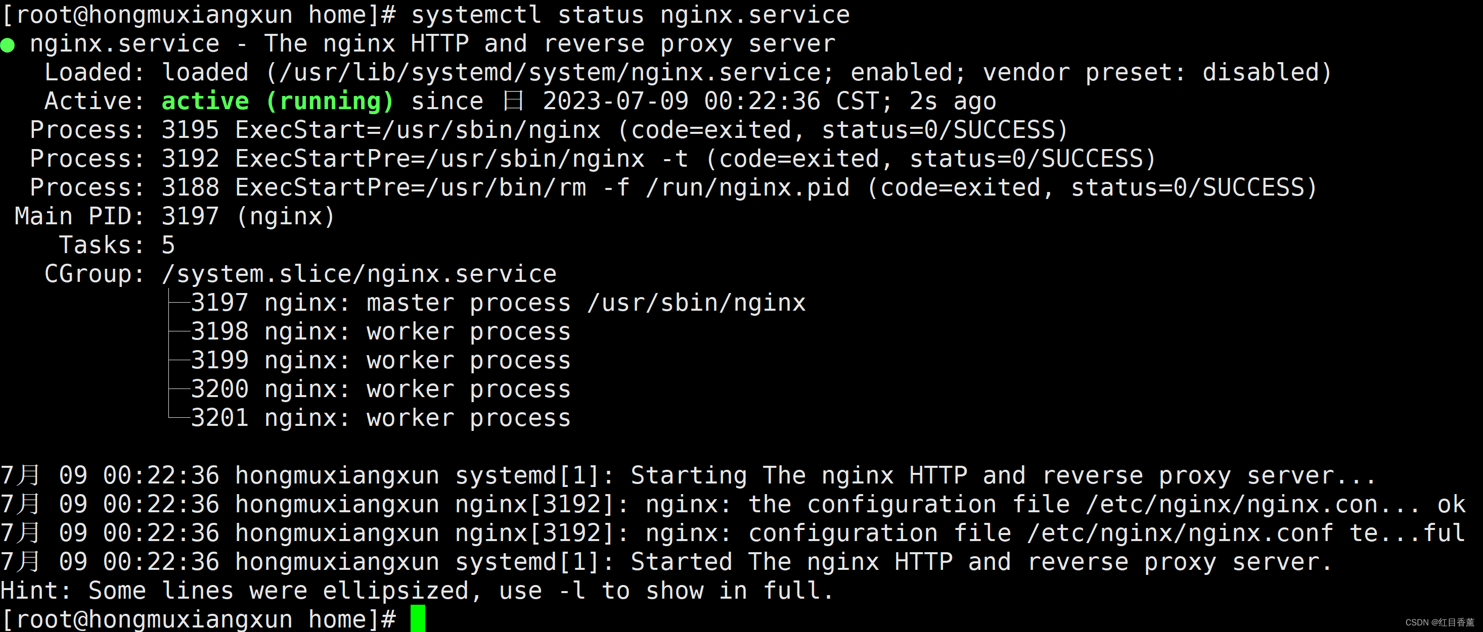 Linux安装nginx——完整示例_linux中用脚本安装nginx-CSDN博客