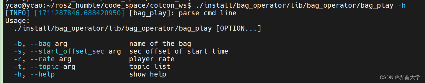 ROS2高效学习第九章 -- ros2 bag之 cpp 实现在线回放包数据 其四_ros2 bag play-CSDN博客