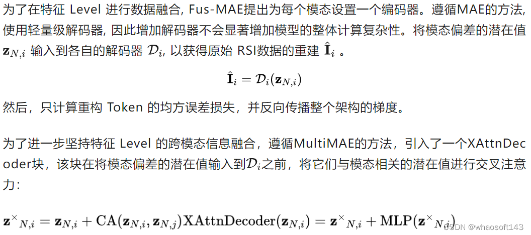 Fus-MAE_dino 多标签-CSDN博客