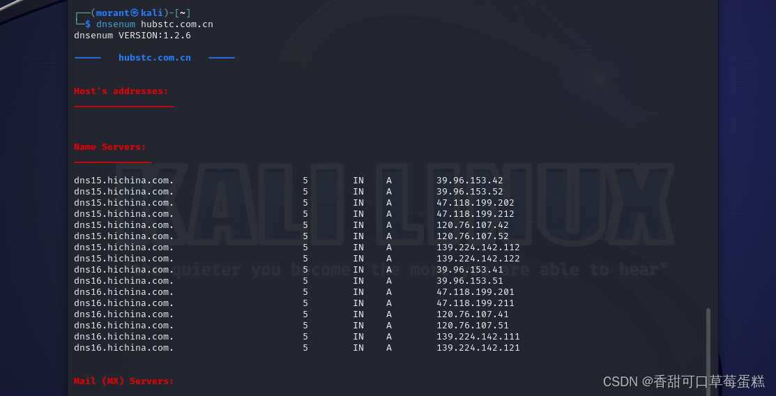 DNS 分析神器：dnsenum 保姆级教程（附链接）-CSDN博客