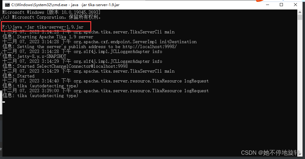 【Apache Tika】在各环境独立部署tika-server通过接口调用实现文档解析-CSDN博客