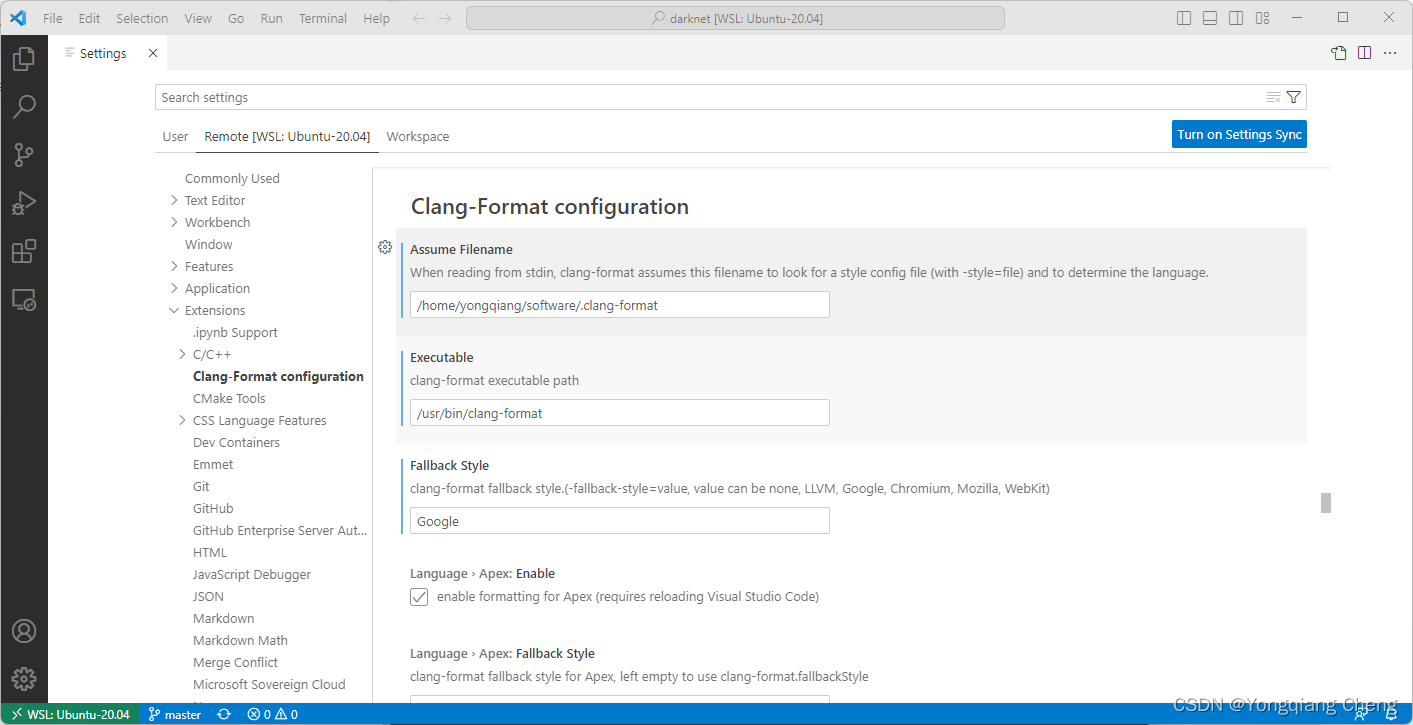 在 Visual Studio Code 中配置 Clang-Format 格式化 (排版) 工具_clang-format vscode ...