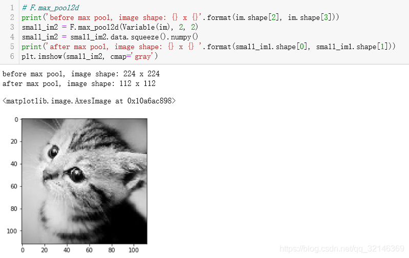 PyTorch 深度学习:30分钟快速入门_pytorch 30分钟-CSDN博客