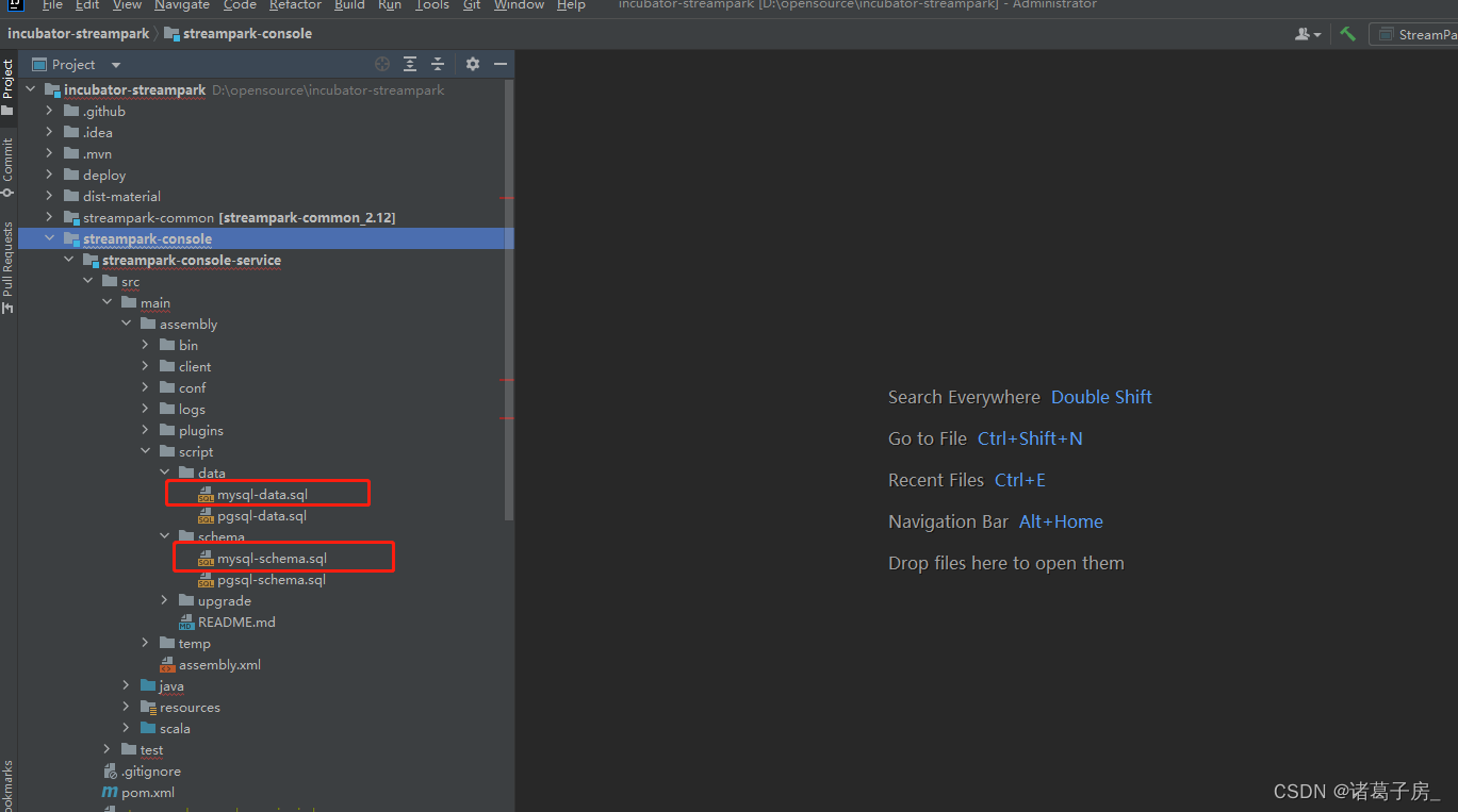 Apache StreamPark系列教程第二篇——项目打包和开发_streampark二次开发-CSDN博客