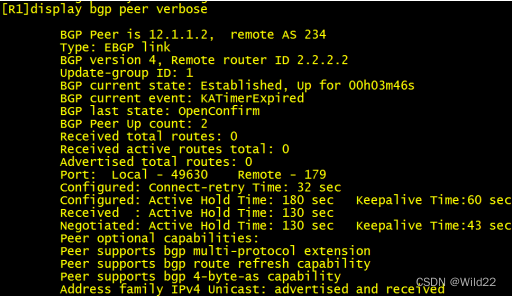 BGP协议详解与应用-CSDN博客