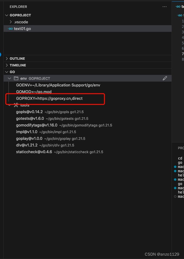 mac系统安装go、vscode意外发现_mac vscode go-CSDN博客