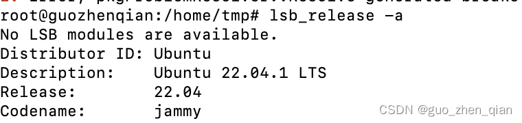 Linux系统常见小问题_no lsb modules are available.-CSDN博客