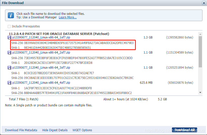 oracle下载的软件包或者补丁文件校验_p31720783-CSDN博客