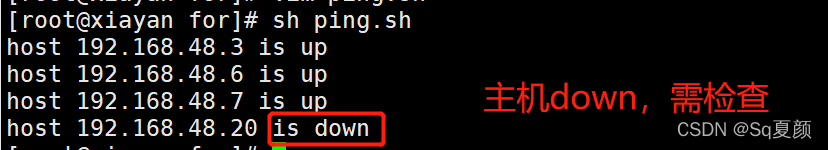 Shell循环语句详解--for循环_shell for-CSDN博客