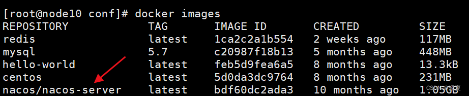 使用docker安装nacos2.0，解决nacos-logback.xml (No such file or directory)-CSDN博客