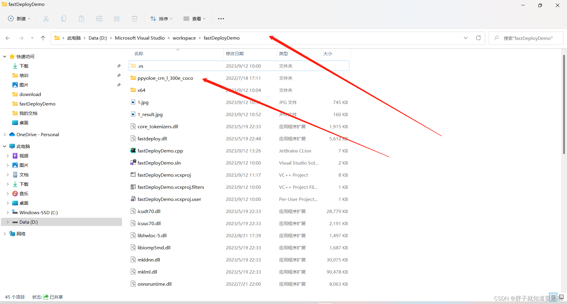 【C++ 图像处理 fastDeploy】20230912-fastDeploy安装测试_fastdeploy c++-CSDN博客