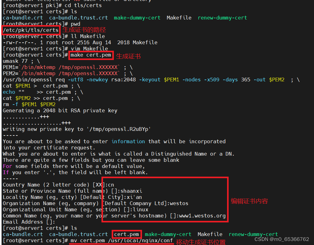 Lnmp架构之web服务器实战-CSDN博客