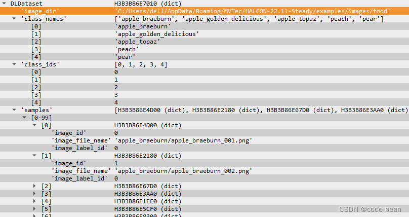 【halcon深度学习之那些封装好的库函数】read_dl_dataset_classification_halcon 学习库-CSDN博客