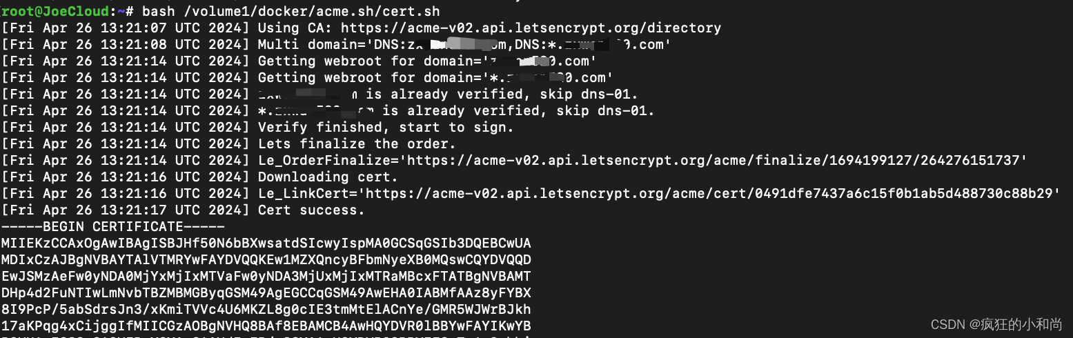 群晖7.2用docker安装acme.sh，实现自动更新部署SSL证书_acme.sh docker-CSDN博客