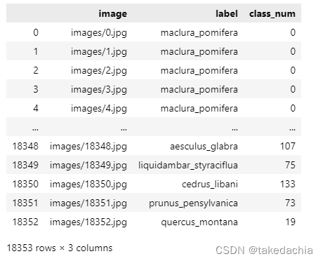 【Pytorch学习笔记】10.如何快速创建一个自己的Dataset数据集对象（继承Dataset类并重写对应方法）_随机生成一个 ...