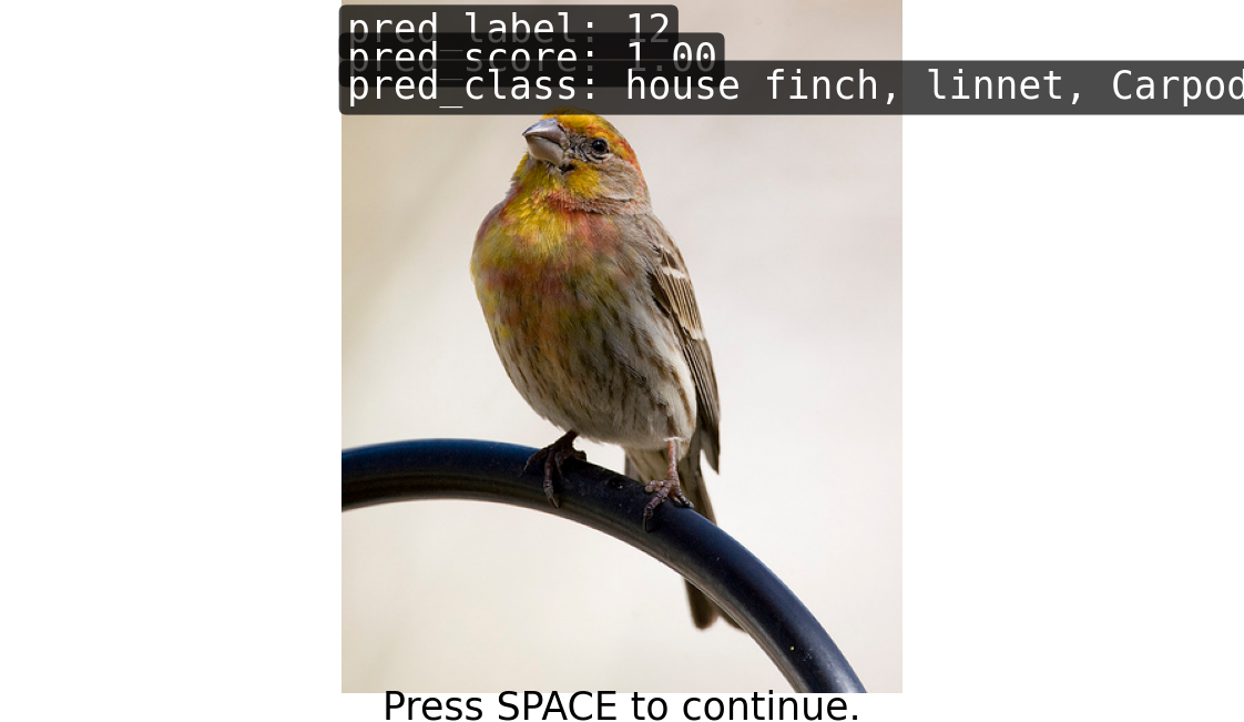 MMLab-MMClassification学习记录_mmclassification pretrain download-CSDN博客