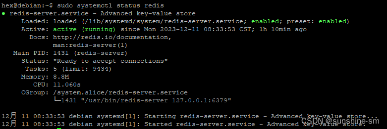 Debian 安装 Redis_debian安装redis-CSDN博客