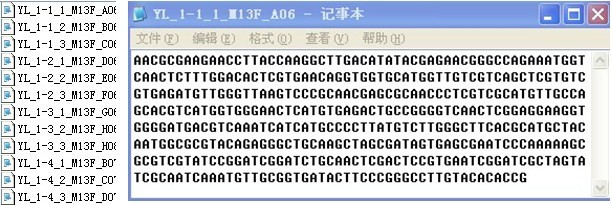 linux下phylip软件构建NJ树,MEGA软件——系统发育树构建方法（图文讲解）-CSDN博客