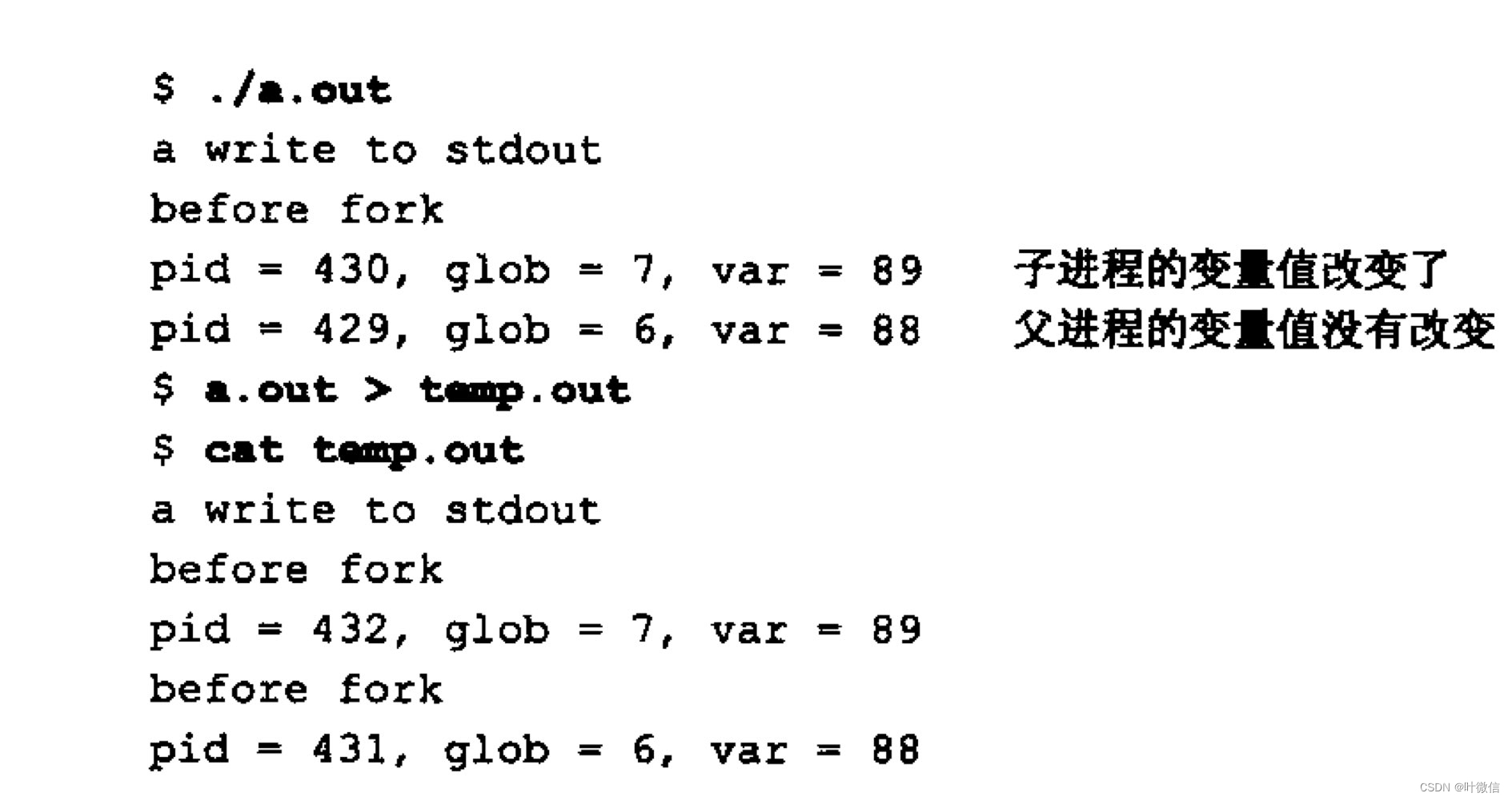 APUE学习：第八章进程控制_apue.h-CSDN博客