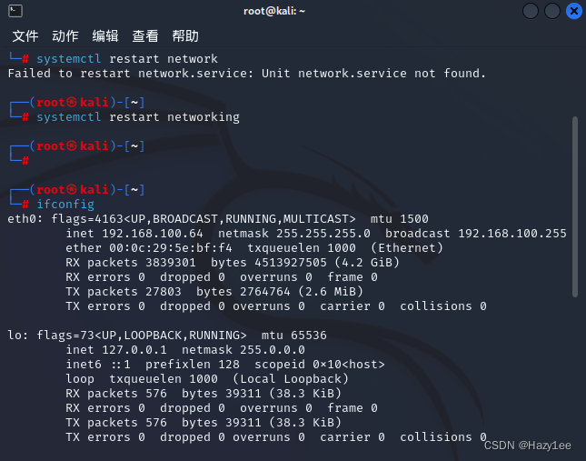 Kali Linux NAT上网配置-CSDN博客