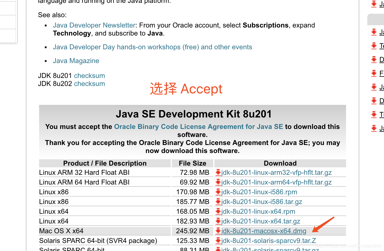 Mac OS 安装 Java 环境_mac os java-CSDN博客