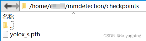 保姆级：使用MMDetection训练YOLOX——VisDrone2019数据集coco格式_visdrone数据集-CSDN博客