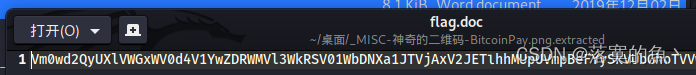 [SWPU CTF]之Misc篇(NSSCTF）刷题记录⑥_nssctfmisc-CSDN博客