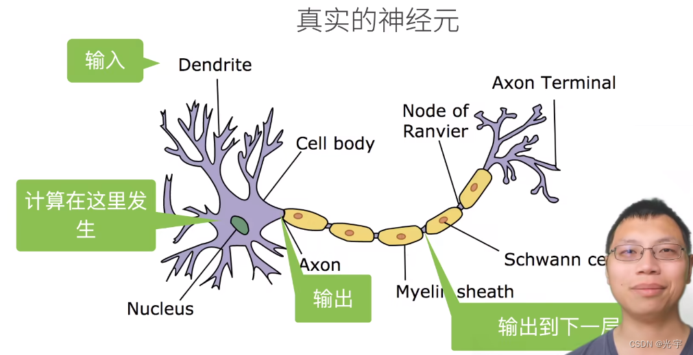 pytorch深度学习实战lesson9_for epoch in range-CSDN博客