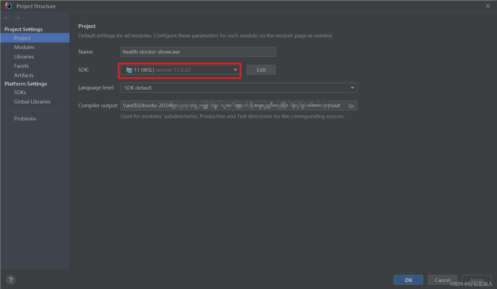 使用IDEA在WSL2的Ubuntu的docker中运行项目_idea wsl-CSDN博客