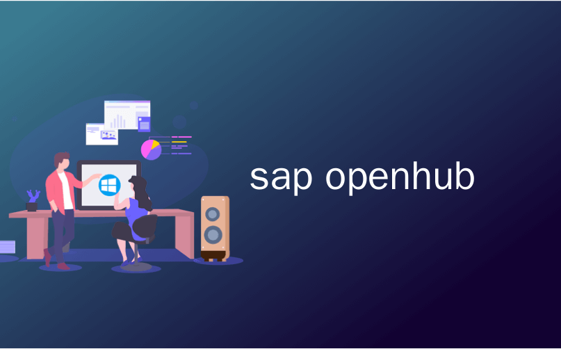 sap openhub_OpenHub框架–下一个有趣的功能-CSDN博客