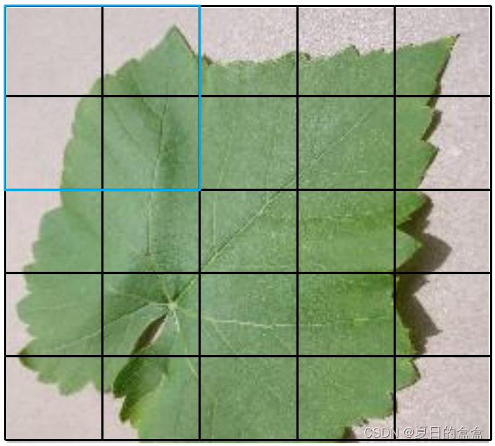 《Content-aware Token Sharing for Efficient Semantic Segmentation with Vision Transformers》-CSDN博客