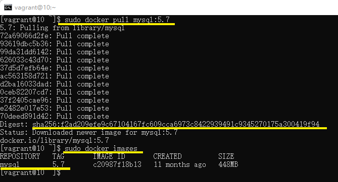 docker 安装 mysql_docker按照mysql-CSDN博客
